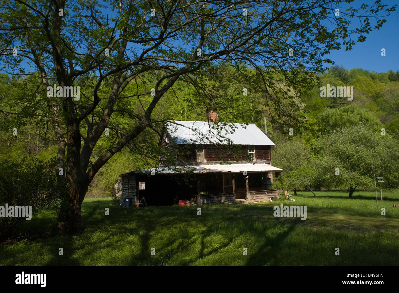 Tall shadows from trees approach an old wooden farm house with a tin ...