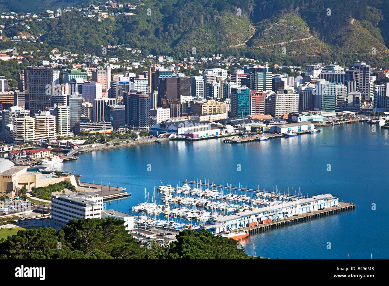 Harbor, Wellington, New Zealand Stock Photo - Alamy