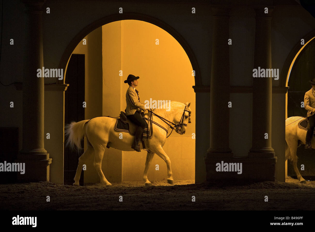 Royal spanish riding school hi-res stock photography and images - Alamy