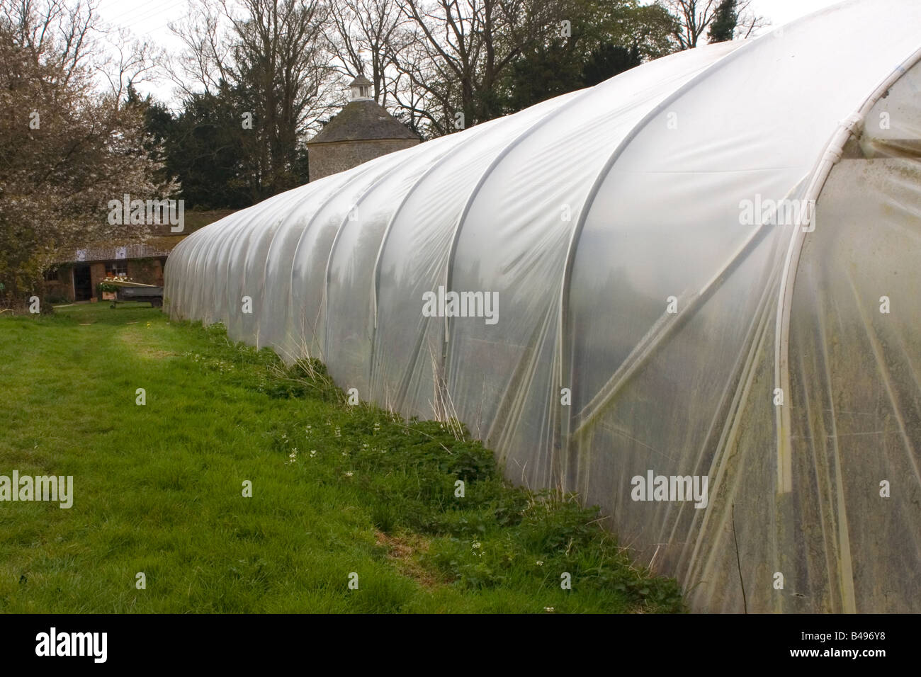 Polly tunnel hi-res stock photography and images - Alamy