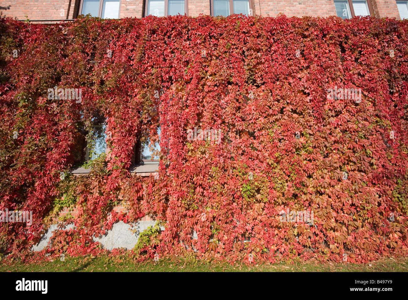 Bush windows hi-res stock photography and images - Alamy