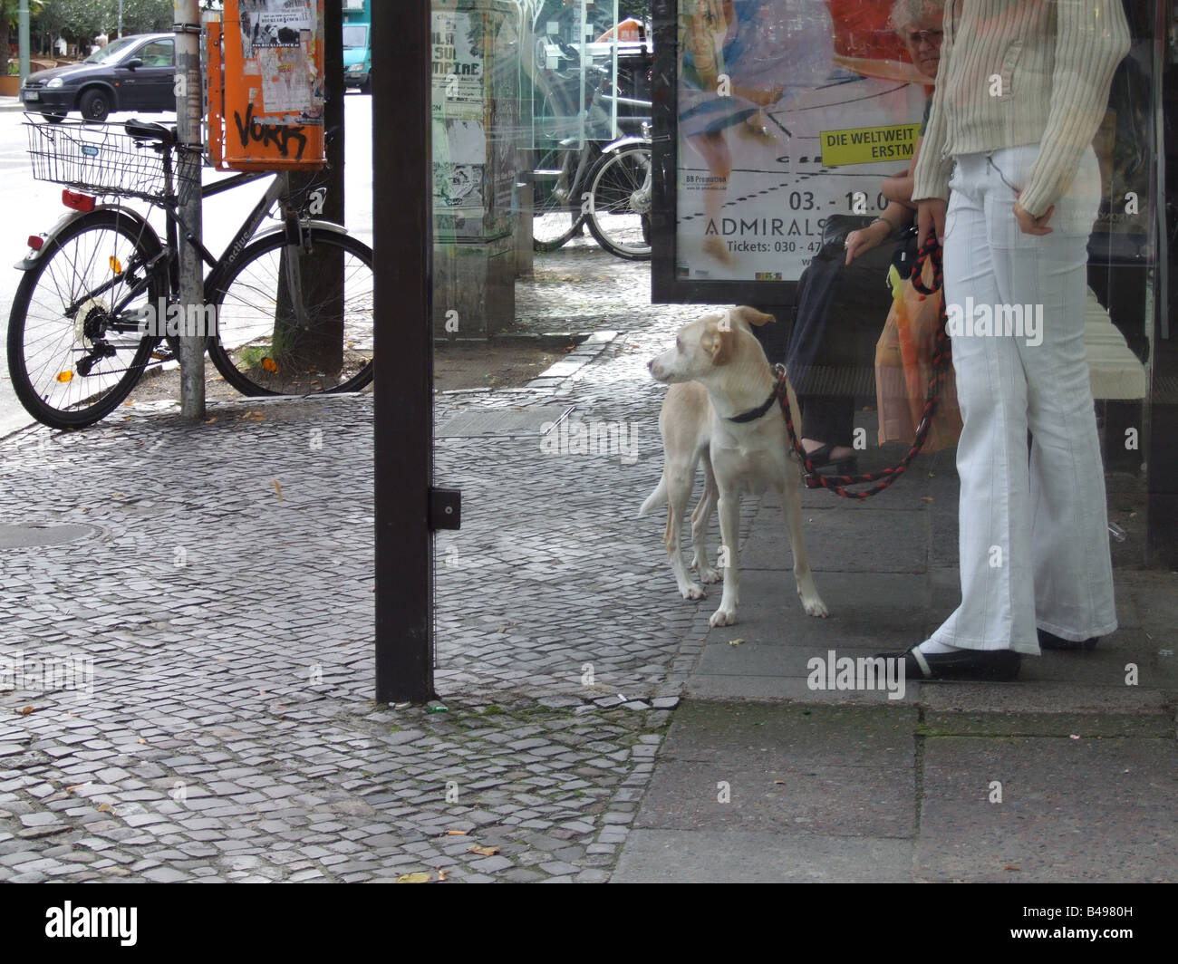 Dog bus stop hi-res stock photography and images - Alamy