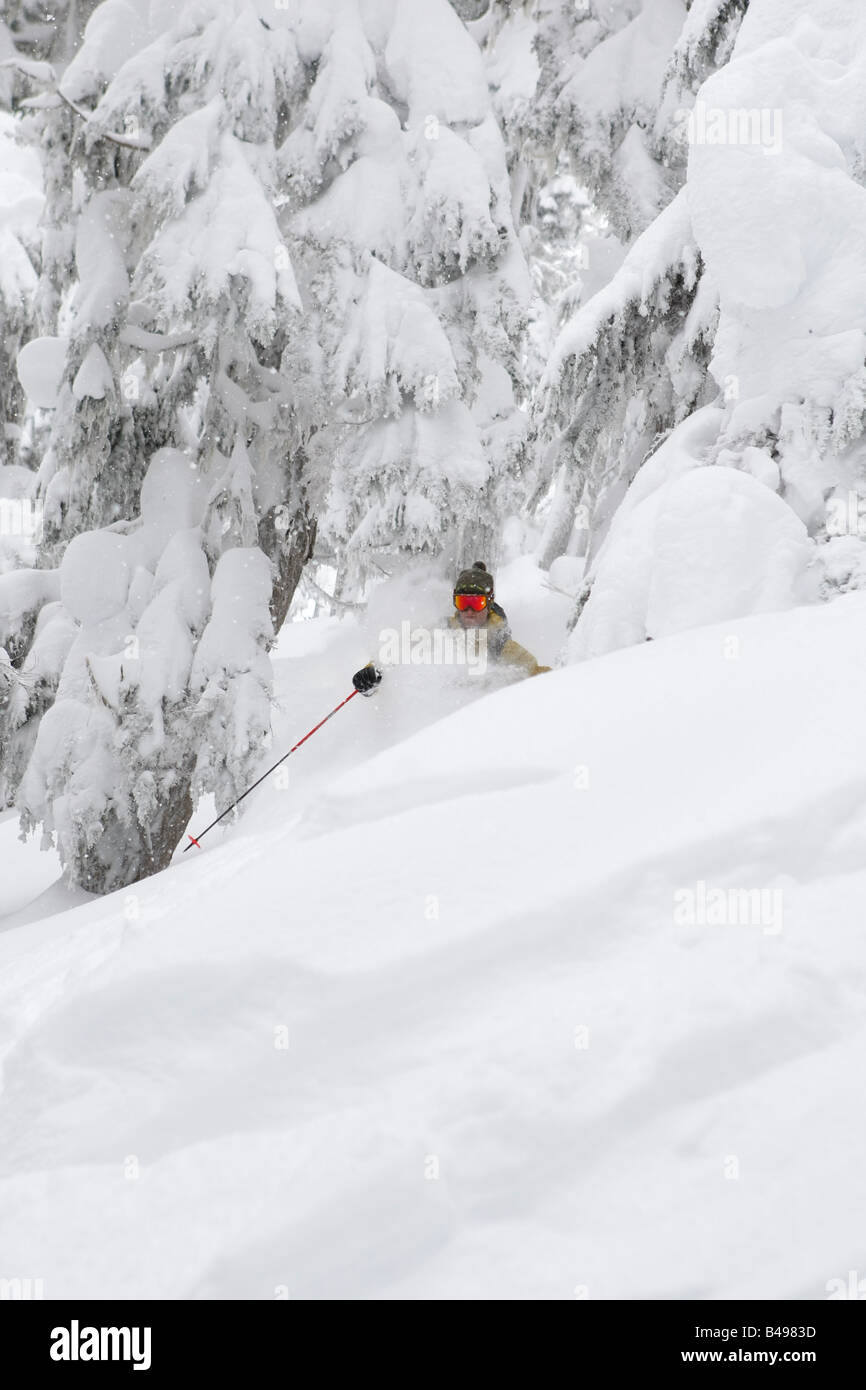skiing in deep powder snow at Whistler BC Stock Photo - Alamy