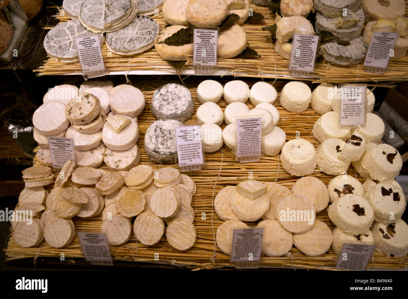 Chilled goat hi-res stock photography and images - Alamy