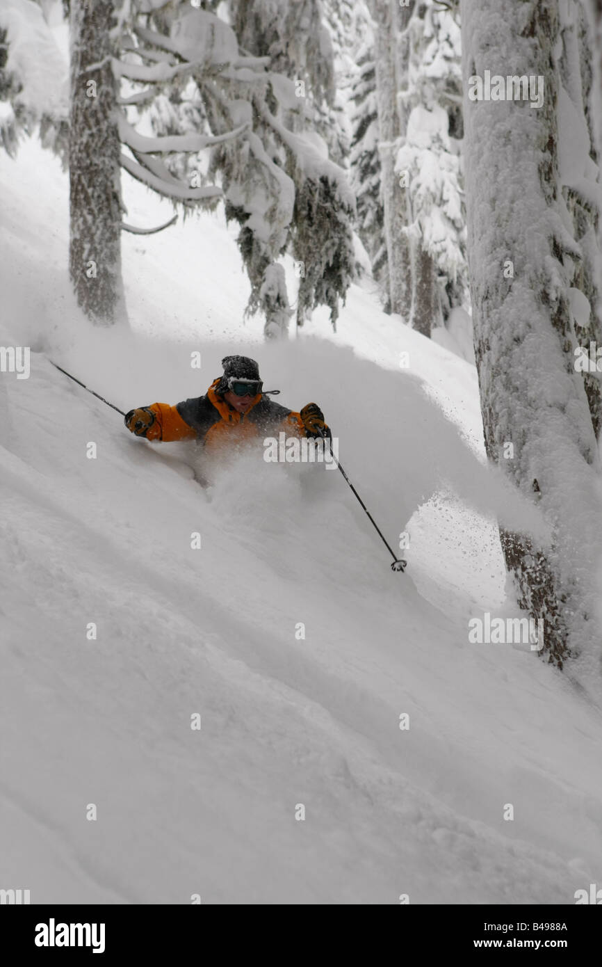 skiing in deep powder snow at Whistler BC Stock Photo - Alamy