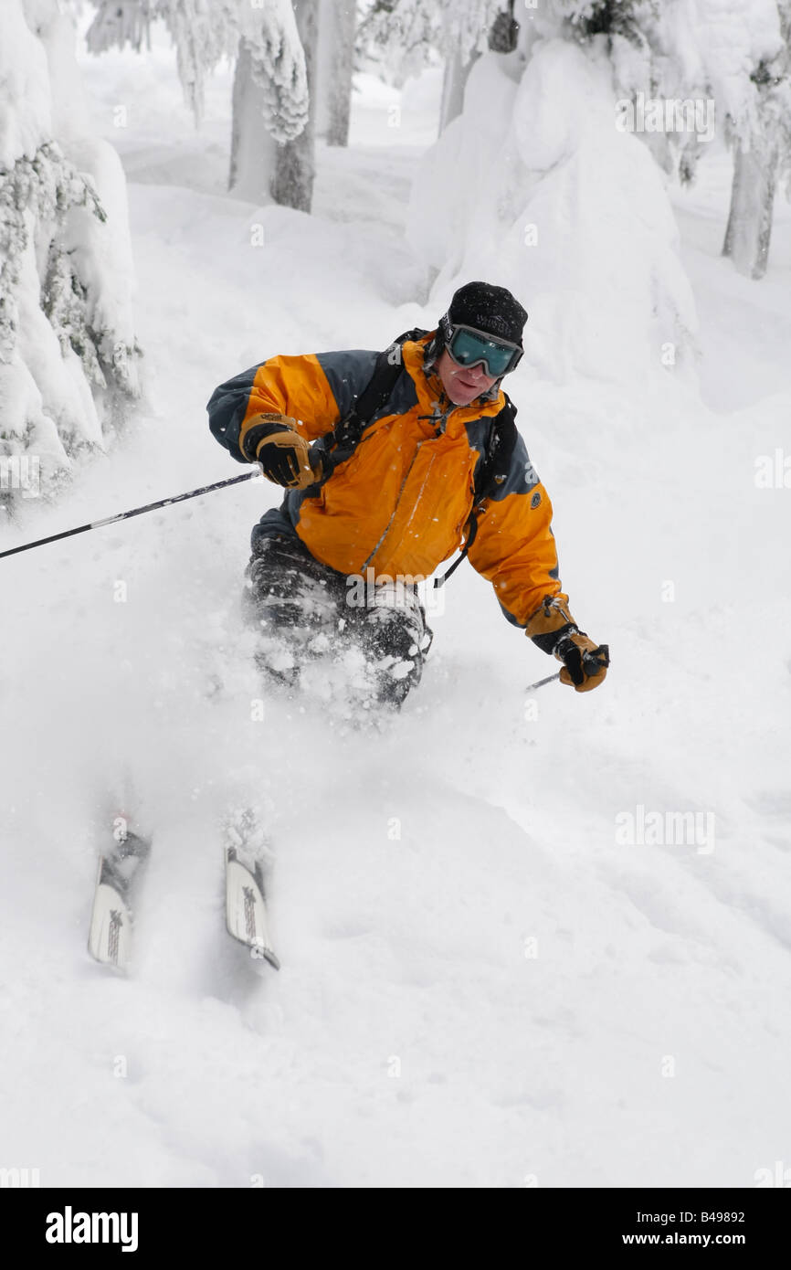 skiing in deep powder snow at Whistler BC Stock Photo - Alamy