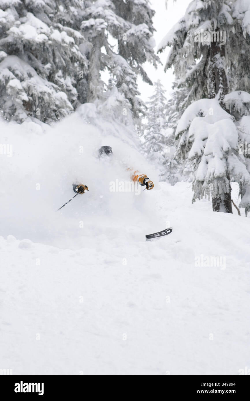 skiing in deep powder snow at Whistler BC Stock Photo - Alamy