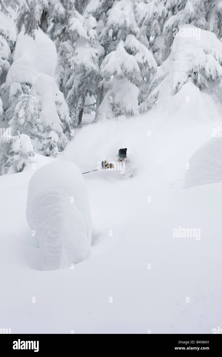 skiing in deep powder snow at Whistler BC Stock Photo - Alamy