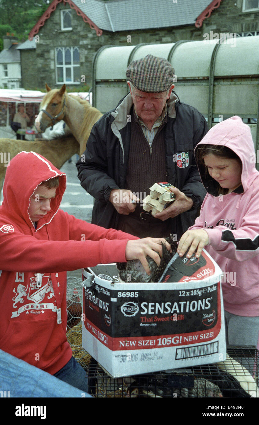 A man buys chickens and eggs at Bantry Market in Cork in Ireland Stock ...