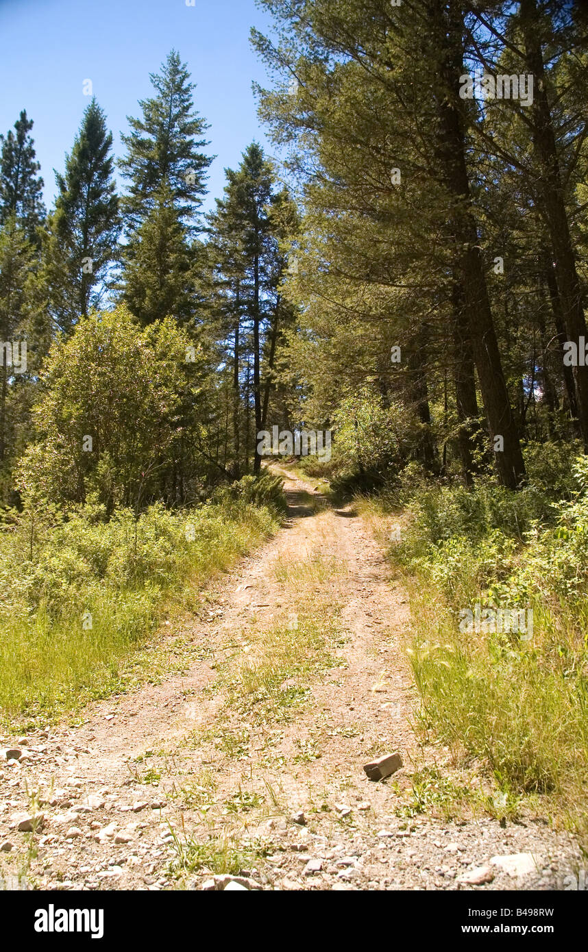 Historic dewdney trail bc hi-res stock photography and images - Alamy