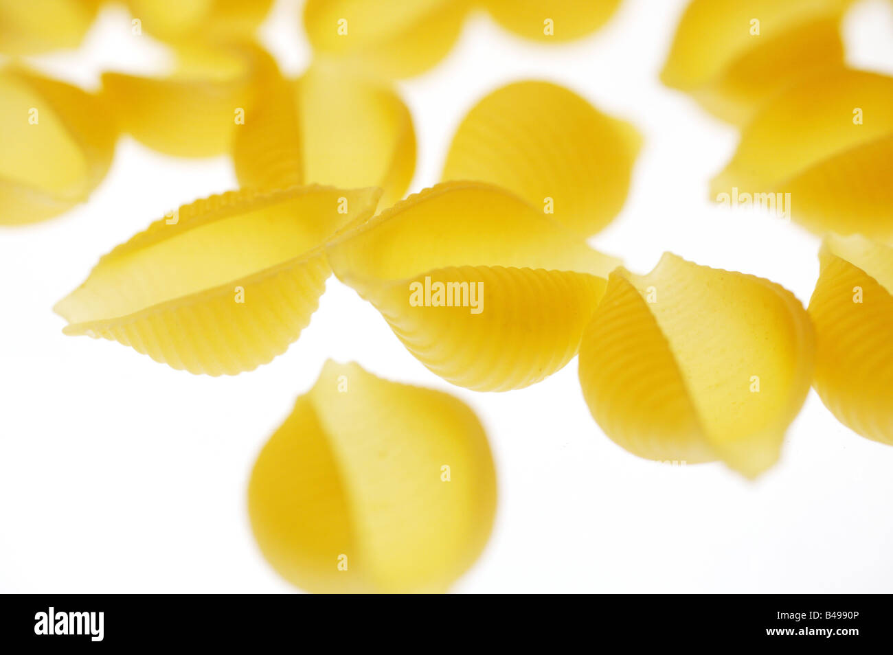 Pasta shells on white hi-res stock photography and images - Alamy