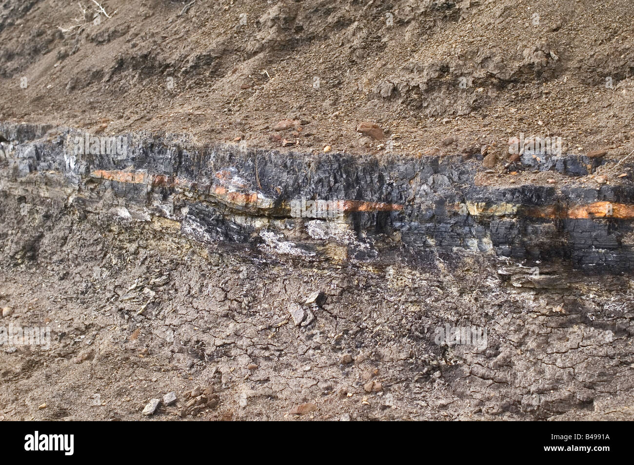 Coal seam hi-res stock photography and images - Alamy