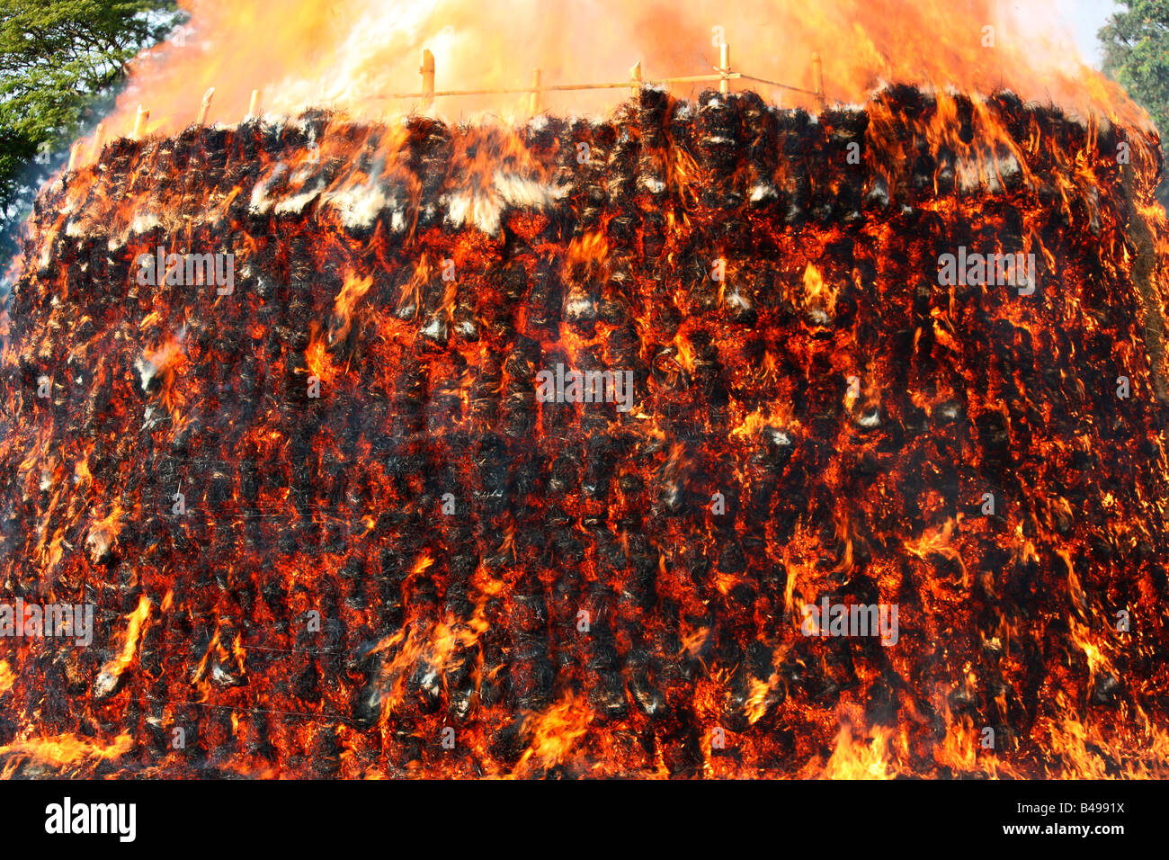 Burning rice hi-res stock photography and images - Alamy