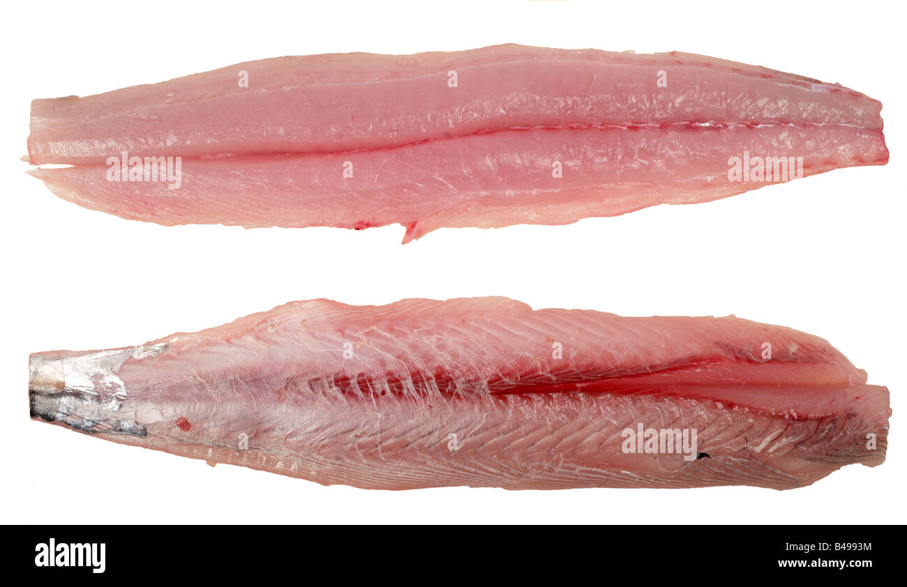 Fillets of narrow barred Spanish mackerel Scomberomorus commerson or ...