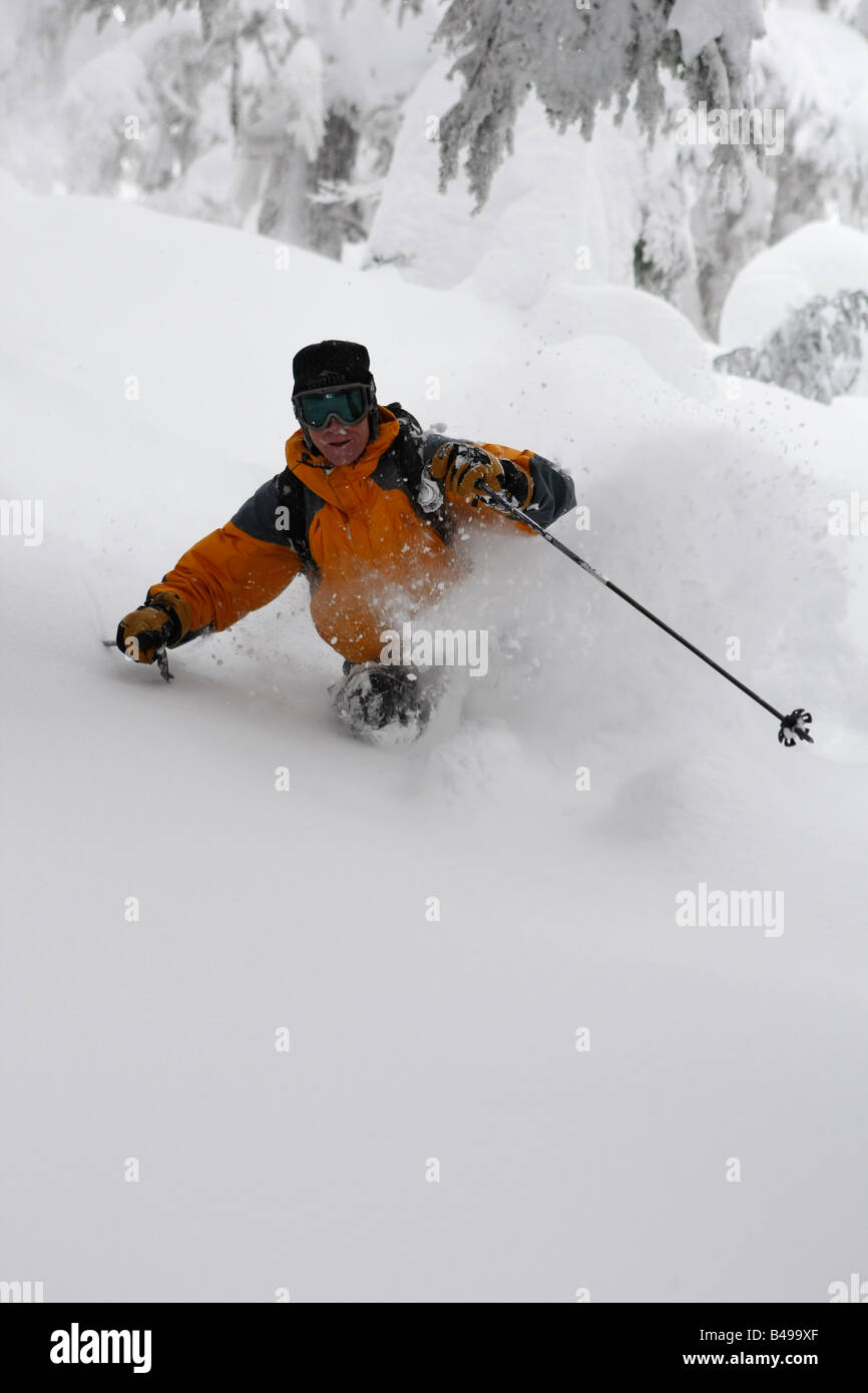 skiing in deep powder snow at Whistler BC Stock Photo - Alamy