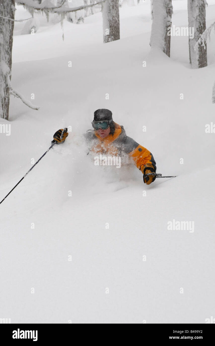 skiing in deep powder snow at Whistler BC Stock Photo - Alamy