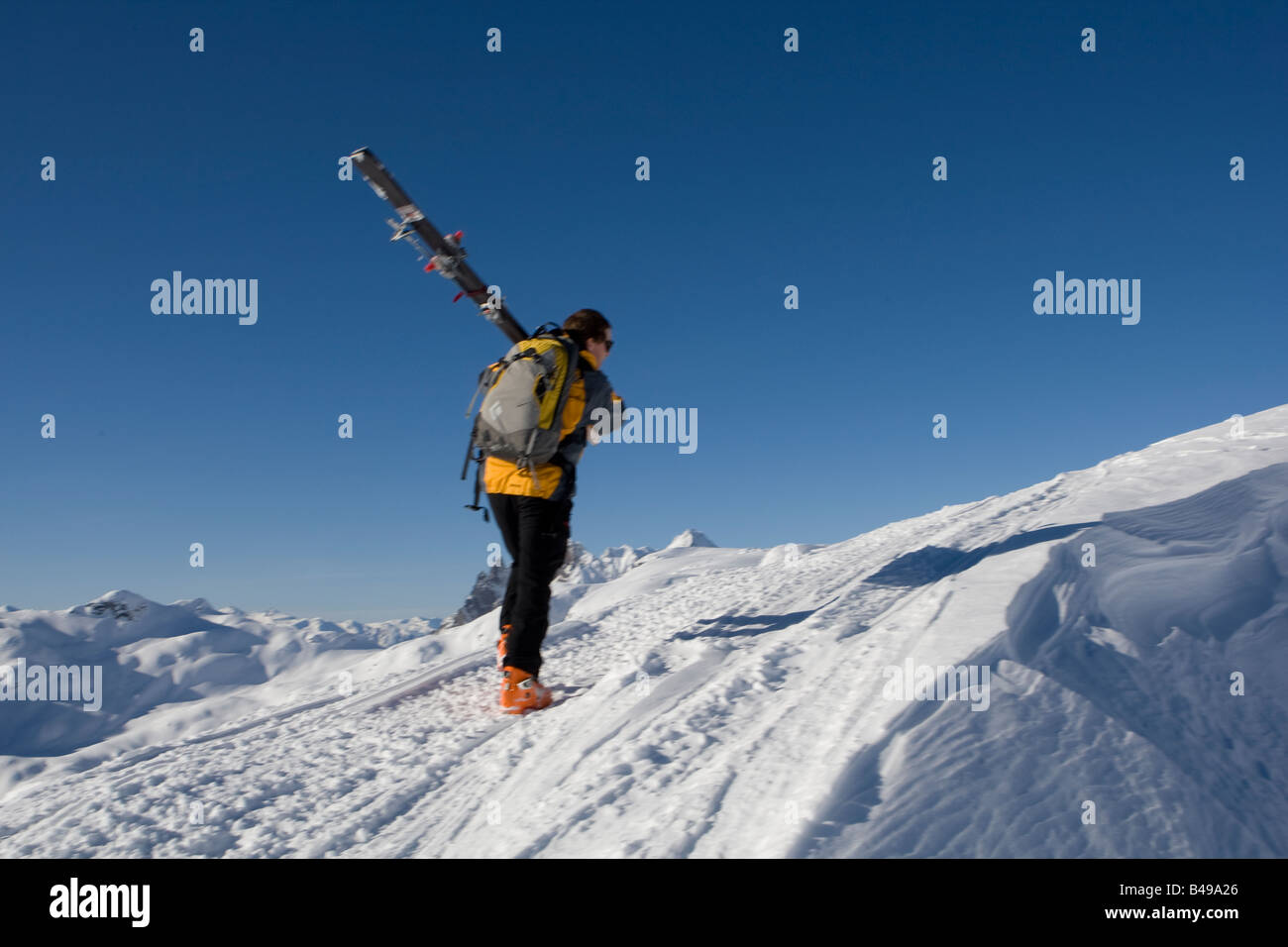 skiing in deep powder snow at Whistler BC Stock Photo - Alamy