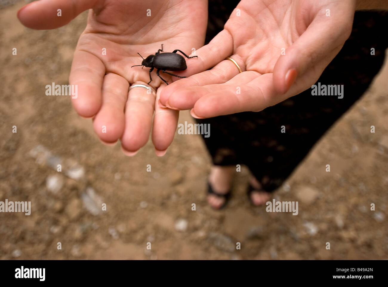 a young woman holding a stink bug Stock Photo - Alamy