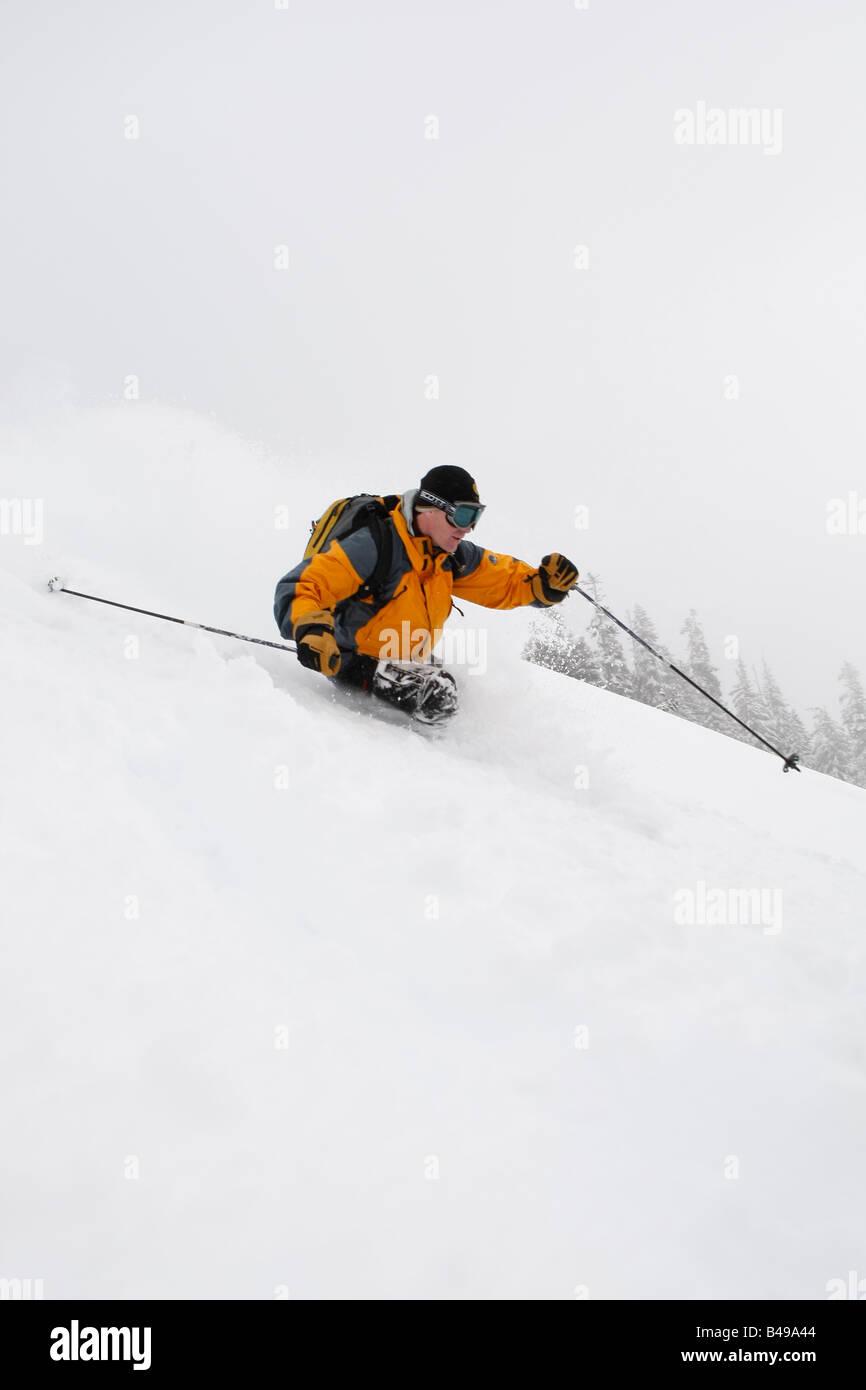 skiing in deep powder snow at Whistler BC Stock Photo - Alamy