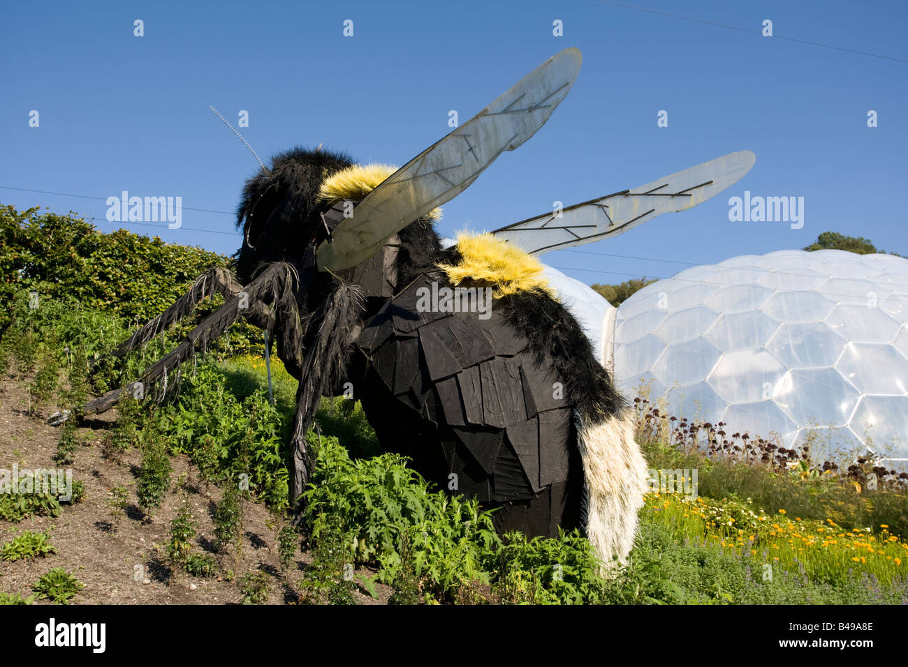 Giant bee hi-res stock photography and images - Alamy