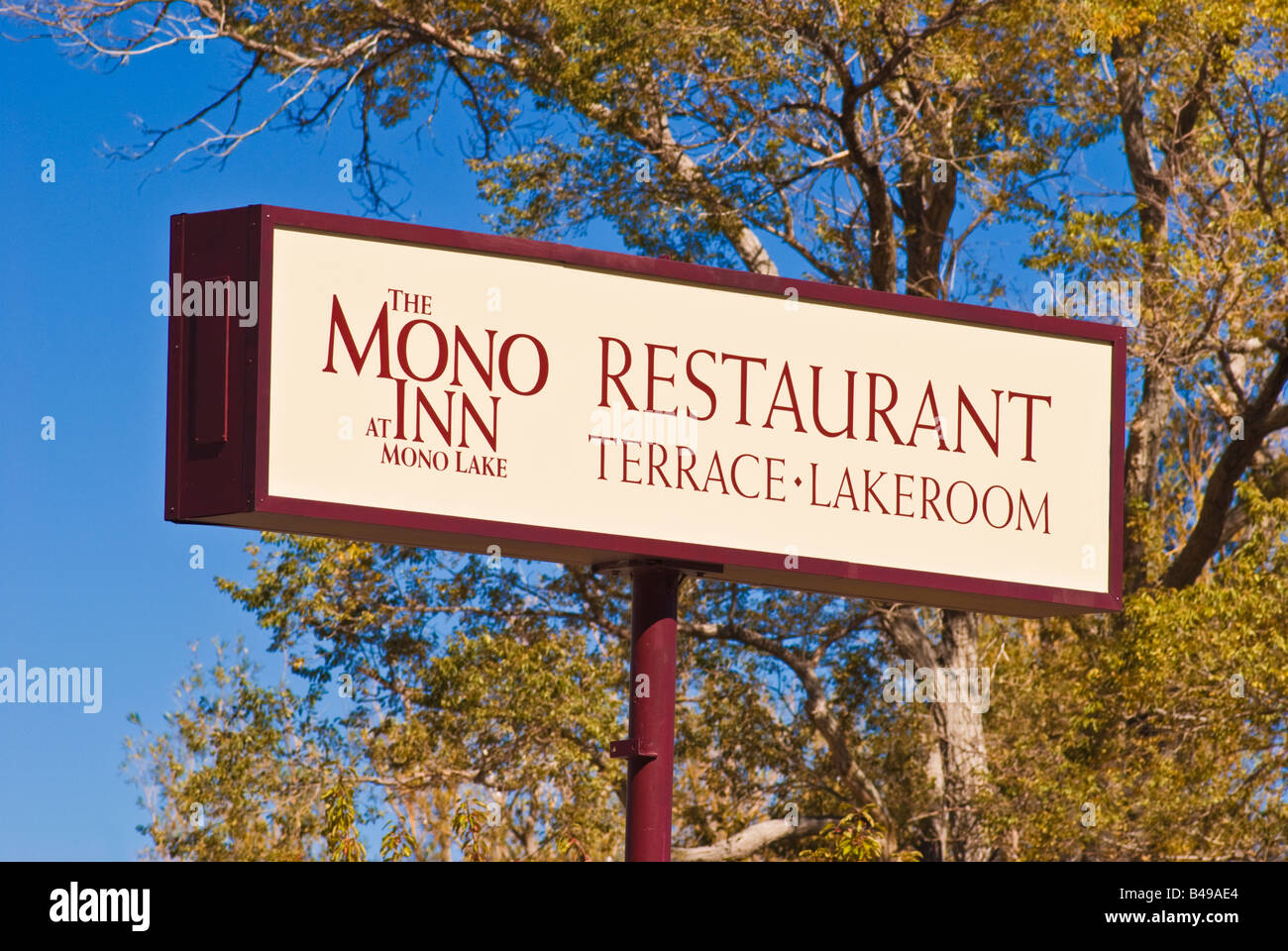 Sarah lodge hi-res stock photography and images - Alamy