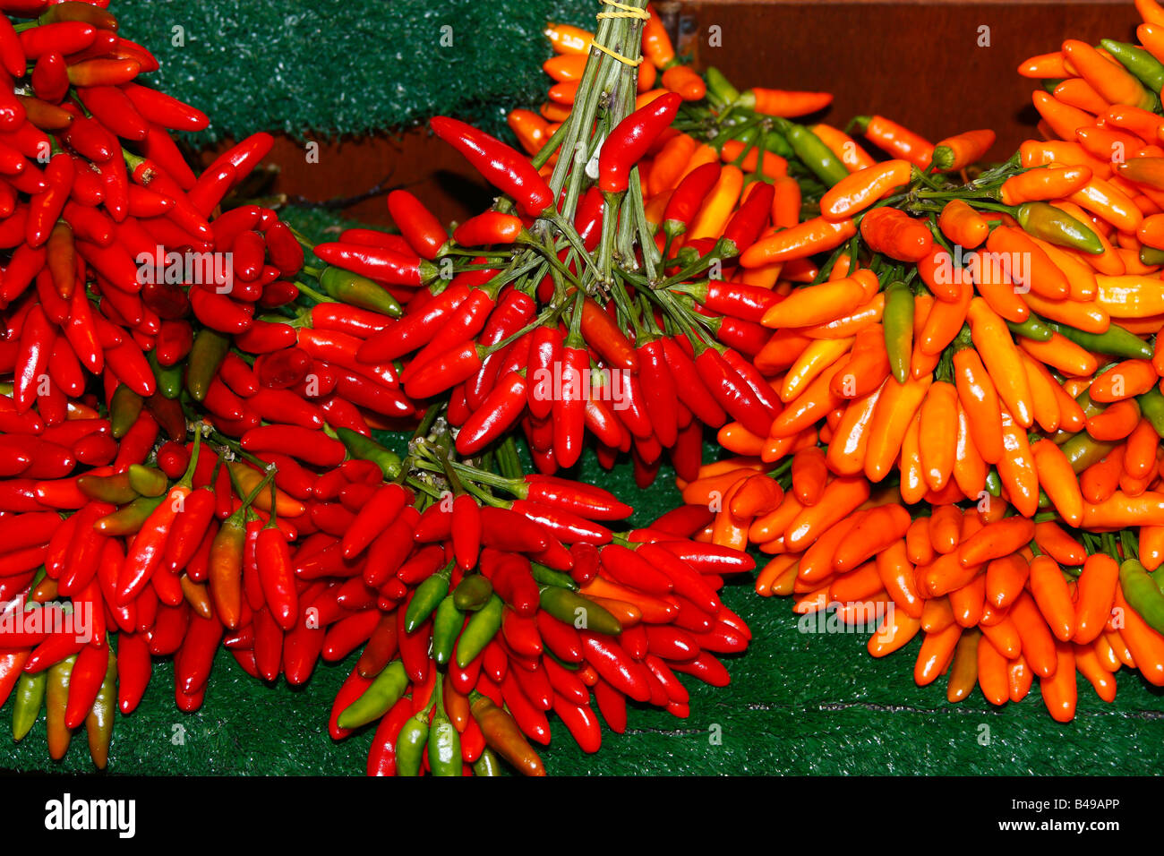 Red and Orange small paprika bunches in the marketplace of Venice ...