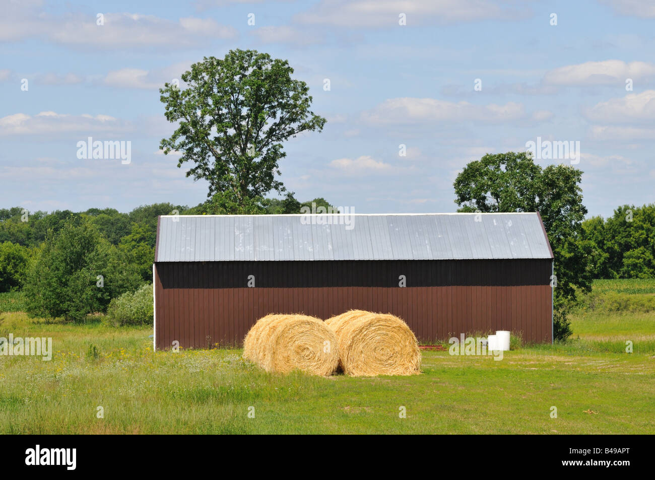 Hay rolls at farm Stock Photo - Alamy