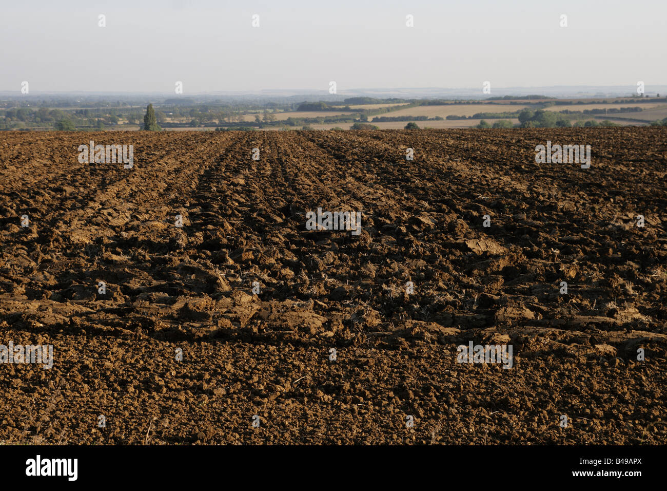 Fenland field hi-res stock photography and images - Alamy