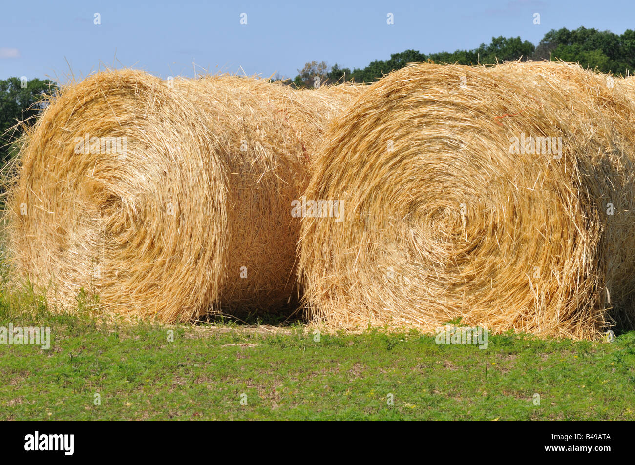 Hay europe hi-res stock photography and images - Alamy