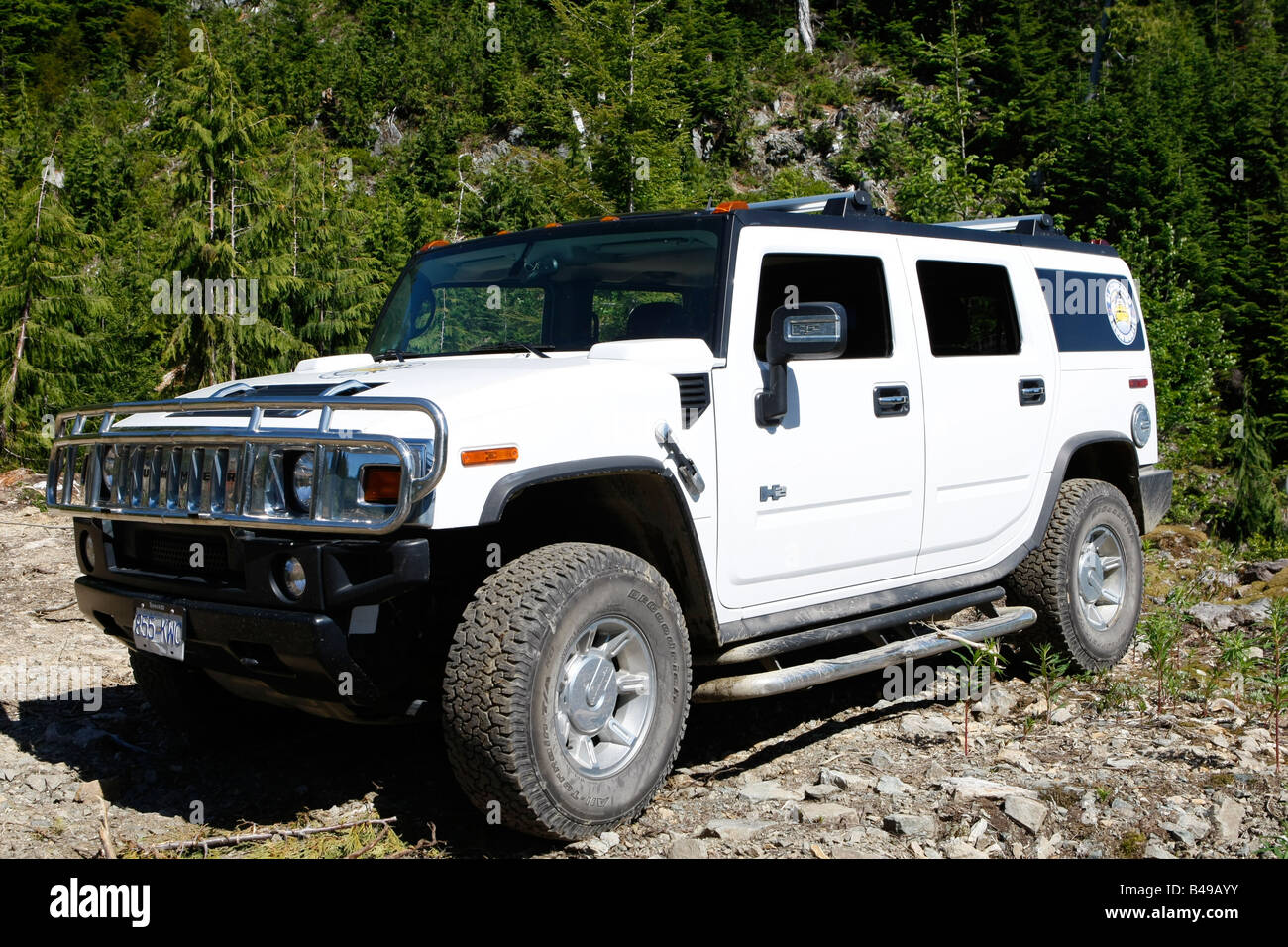 White Hummer Wallpaper