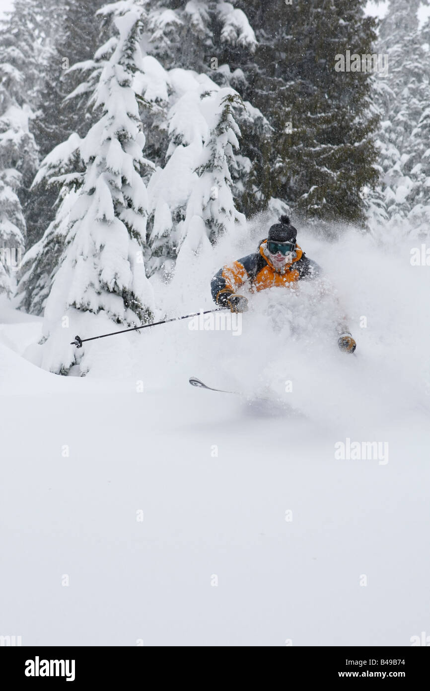skiing in deep powder snow at Whistler BC Stock Photo - Alamy