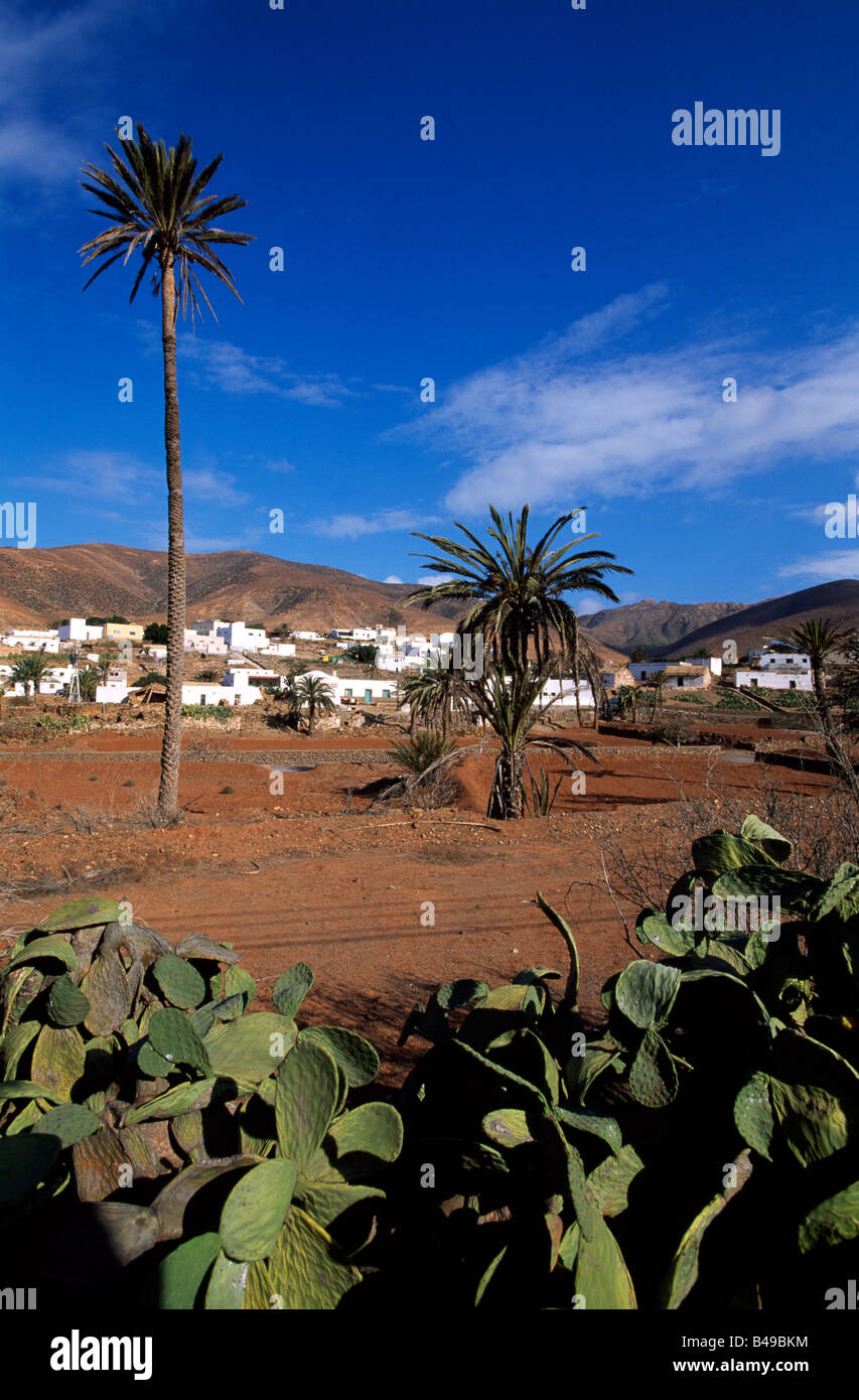 Village of Toto Fuerteventura Canary Islands Spain Stock Photo - Alamy