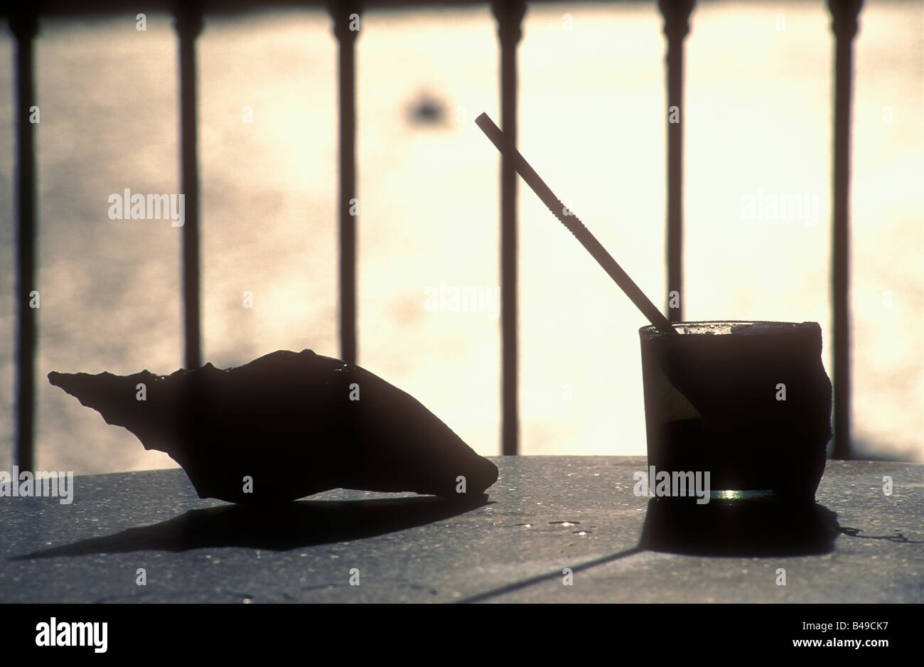 sea shell and glass contrast Stock Photo - Alamy