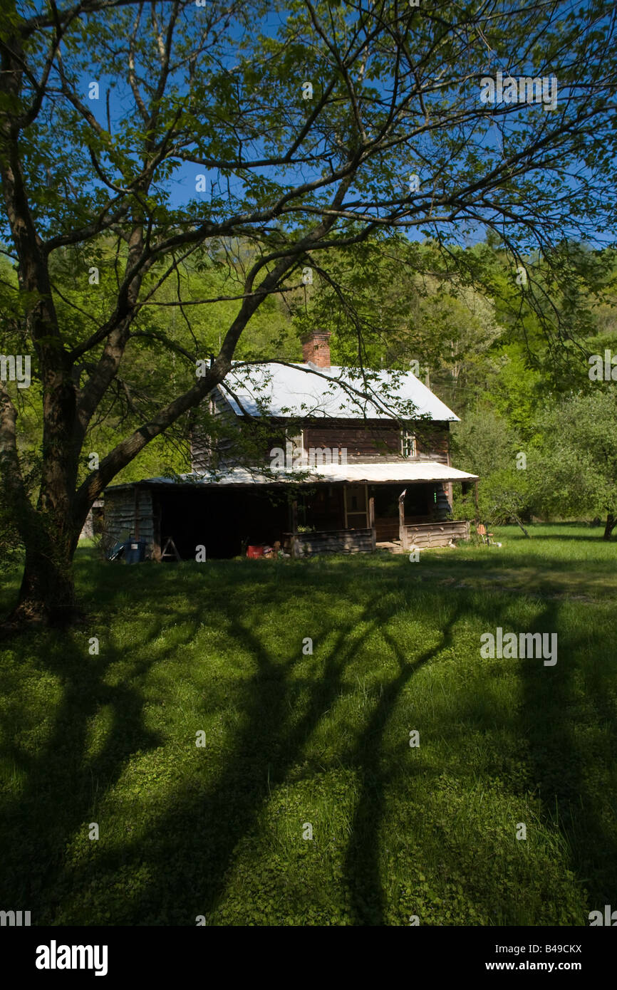 Tall shadows from trees approach an old wooden farm house with a tin ...