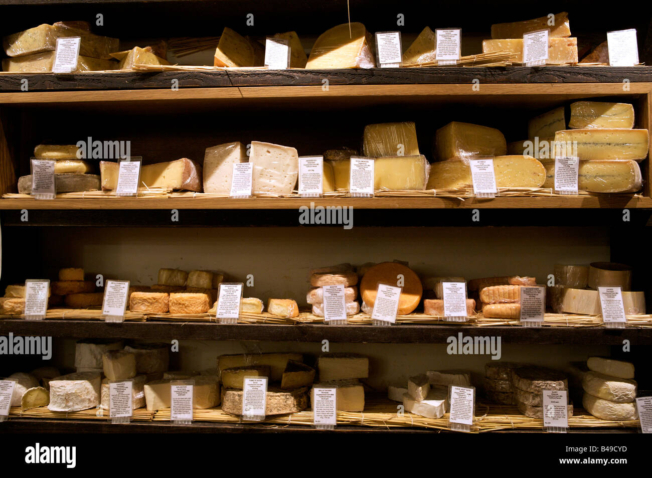 Selection of fine cheese for sale in chilled cheese room , London Stock ...