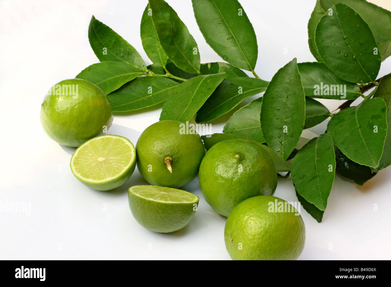 Eating limes hi-res stock photography and images - Alamy
