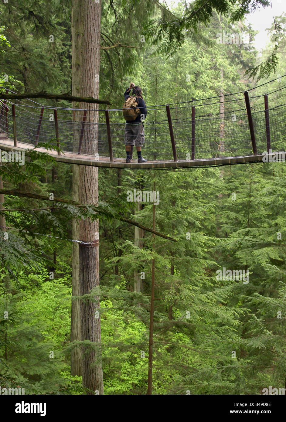 Small suspension bridge near Capilano suspension bridge in Vancouver ...