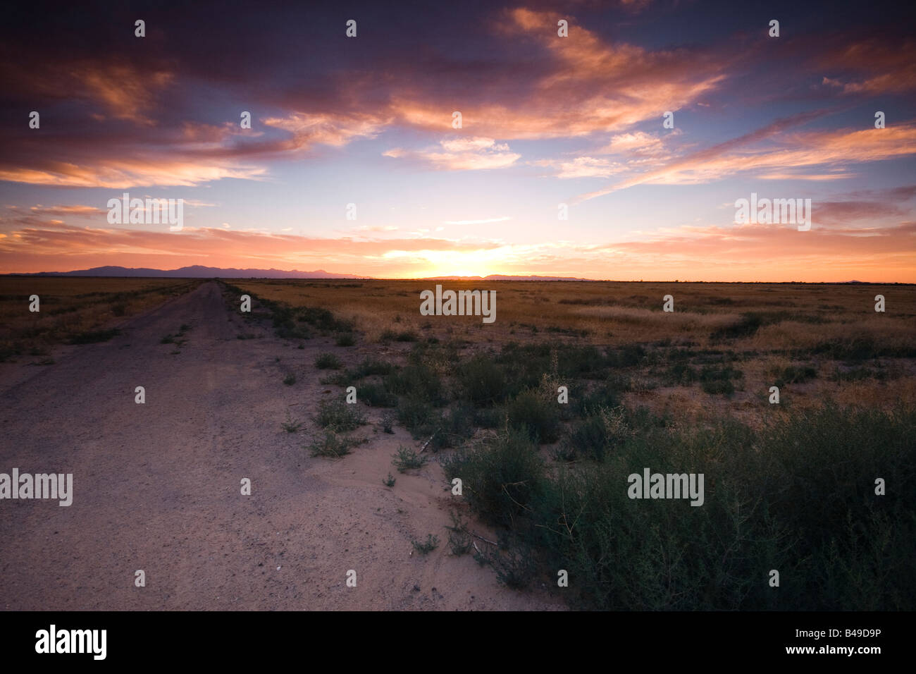 Sunset along a dirt road in the desert outside Phoenix, Arizona, USA ...