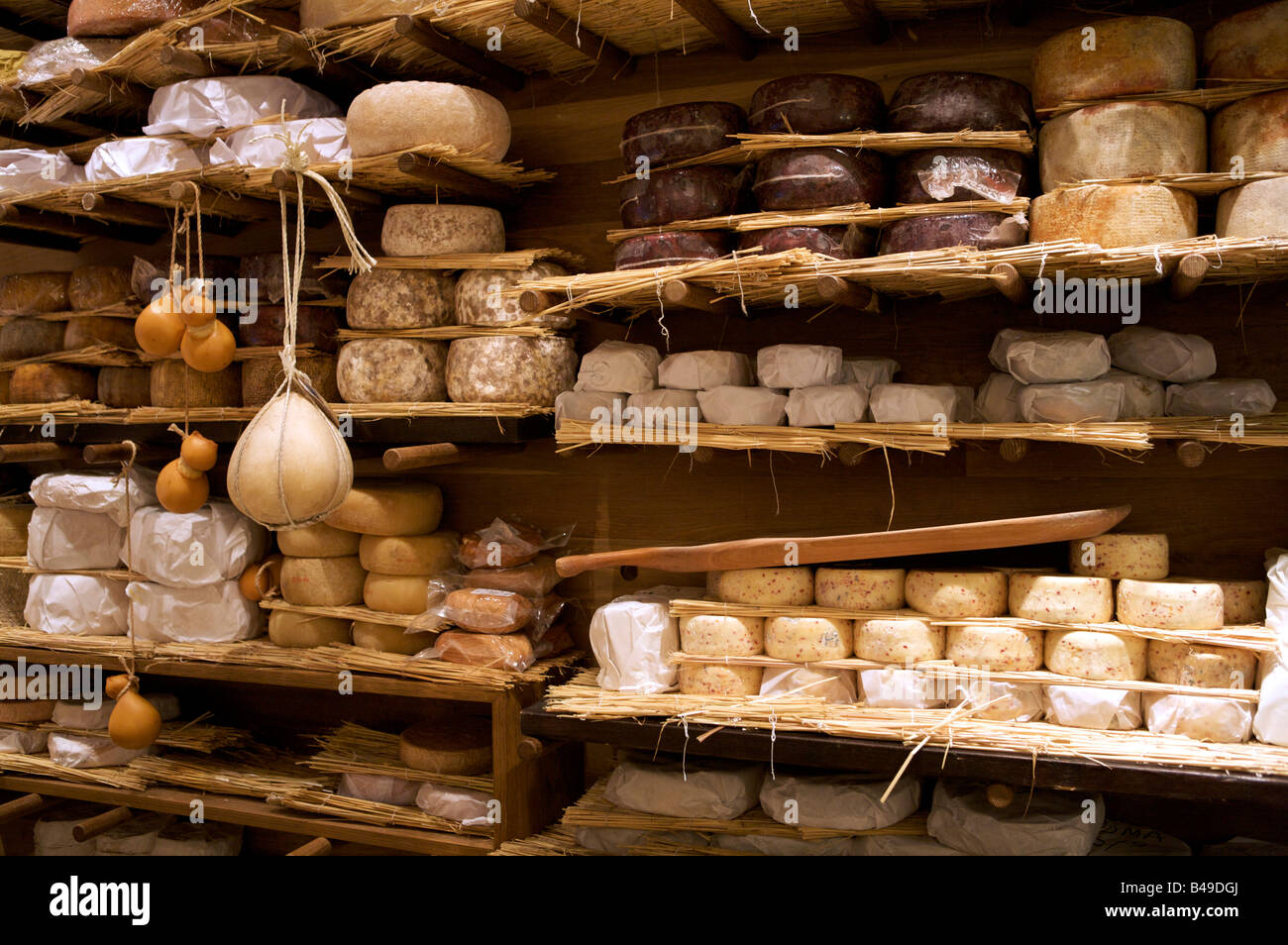 Selection of fine cheese for sale in chilled cheese room , London Stock ...