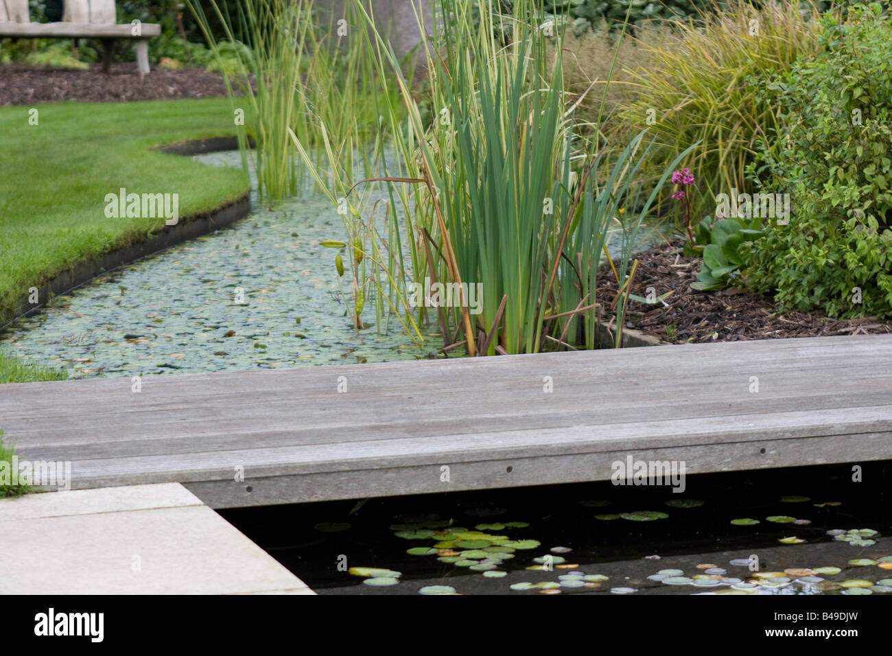 Green oak walkway over garden pond. Pond with plants Stock Photo - Alamy