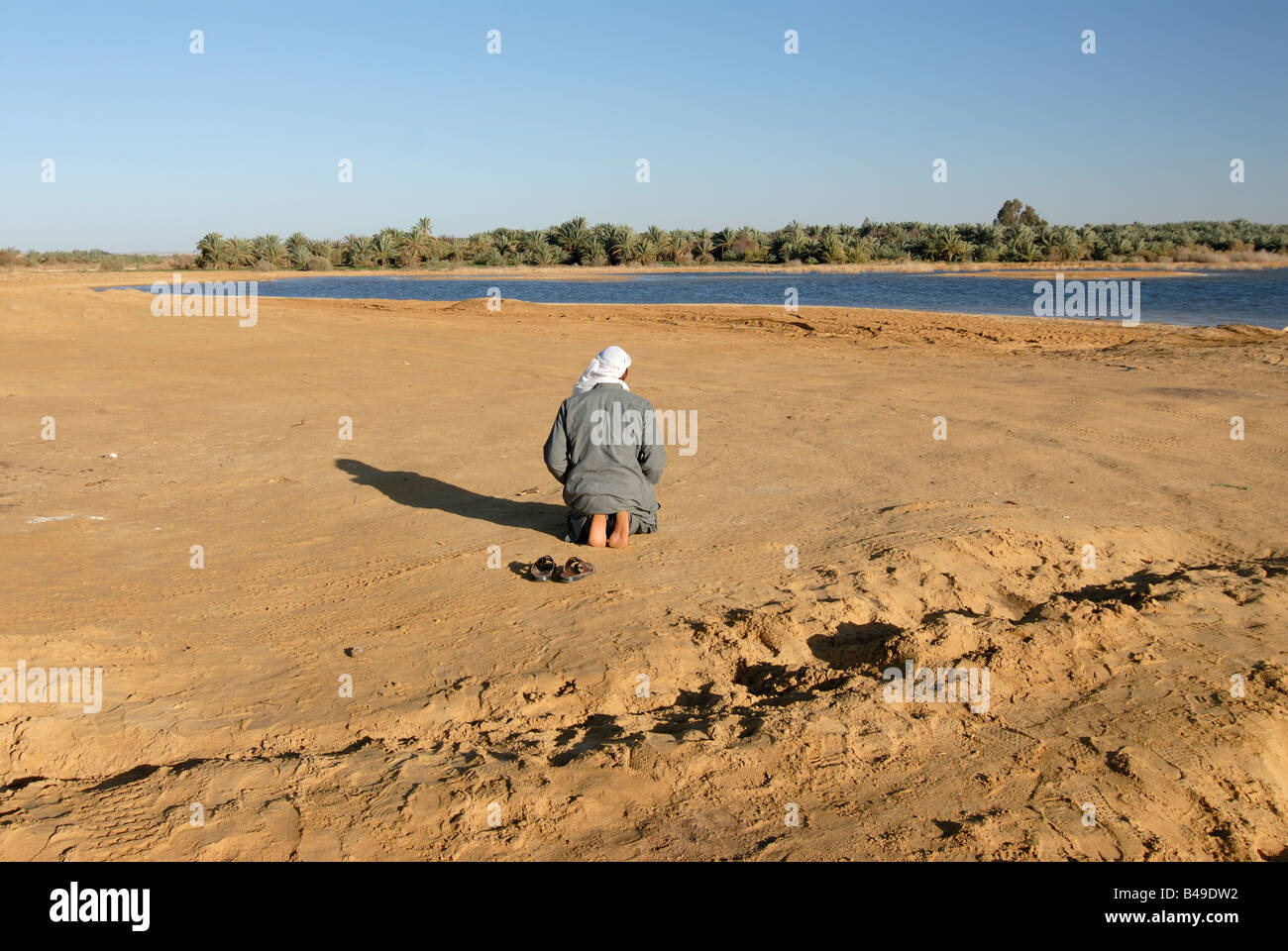 Bedouin praying near Baharija Egypt Stock Photo - Alamy