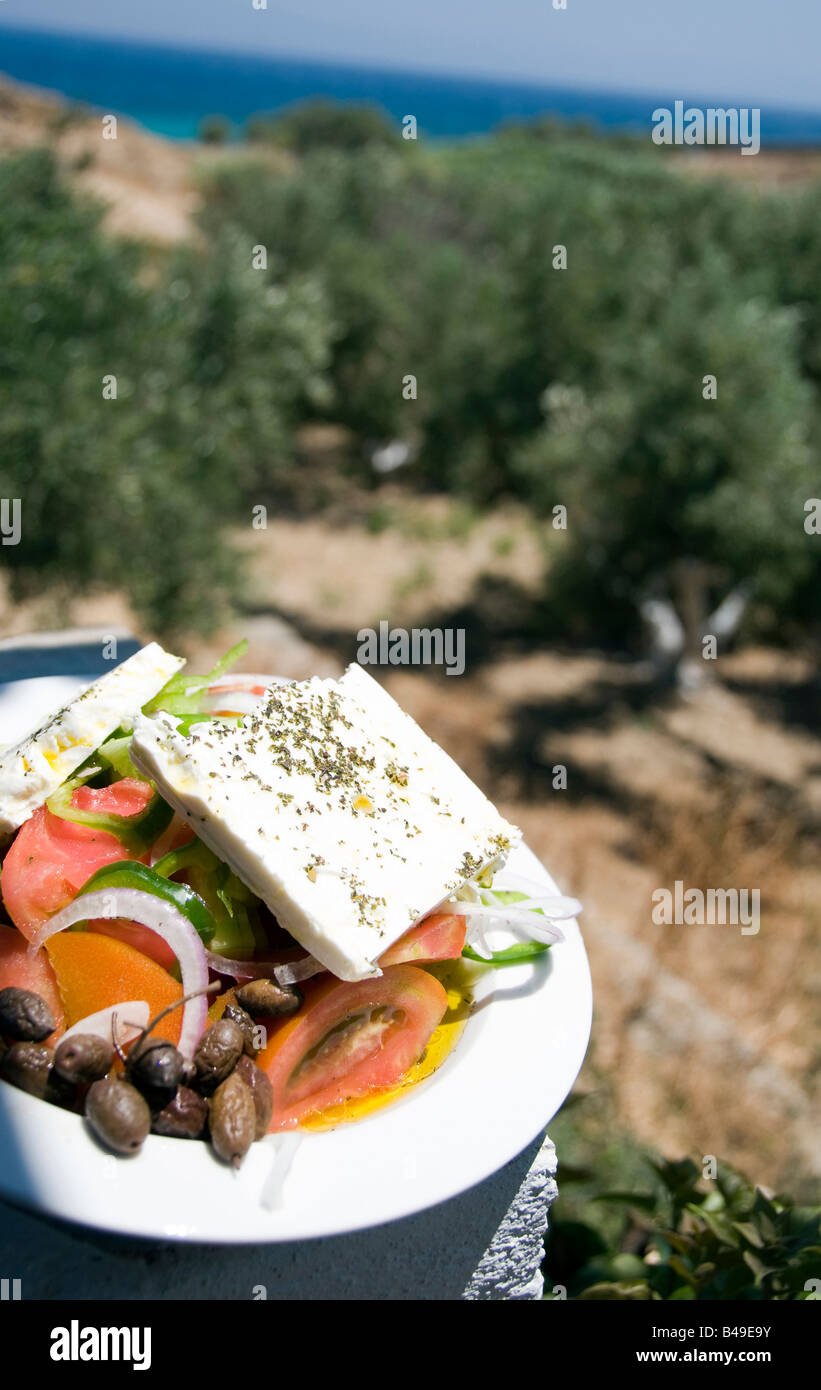 real greek salad feta cheese taverna farm with olive trees view of ...
