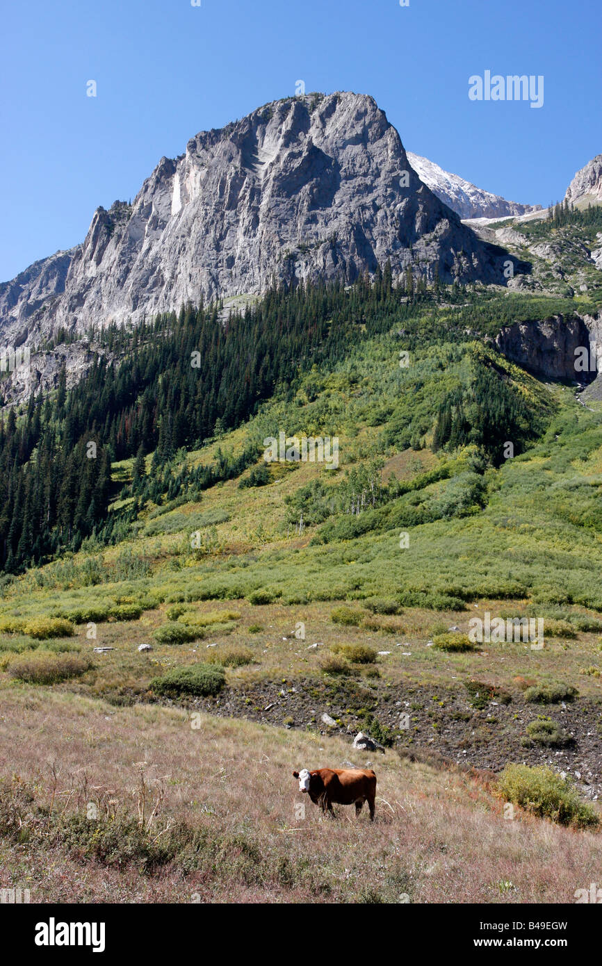 The most scenic spot in colorado hi-res stock photography and images ...