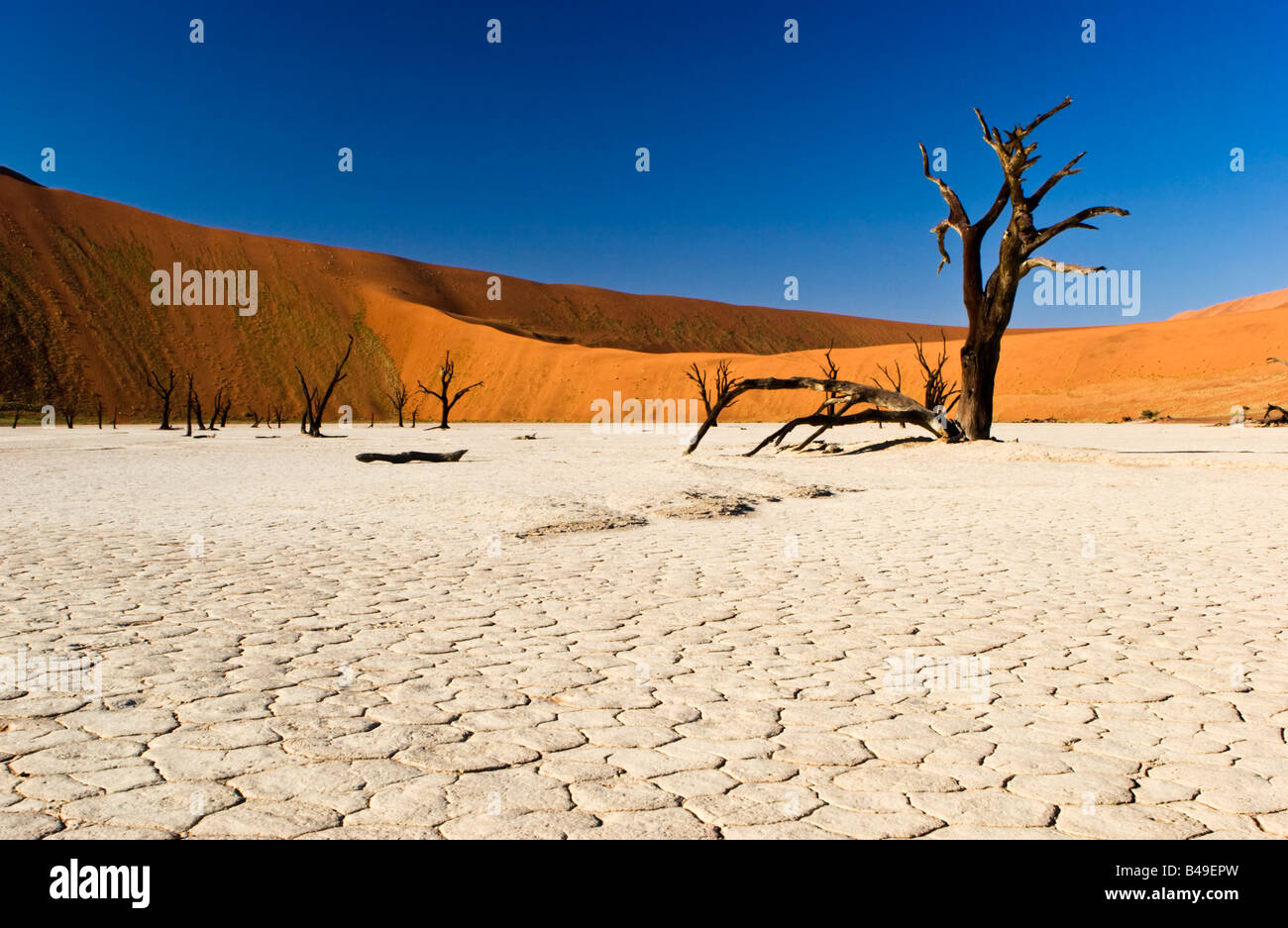 Deadvlei in the Namib-Naukluft National Park, Namibia Stock Photo - Alamy