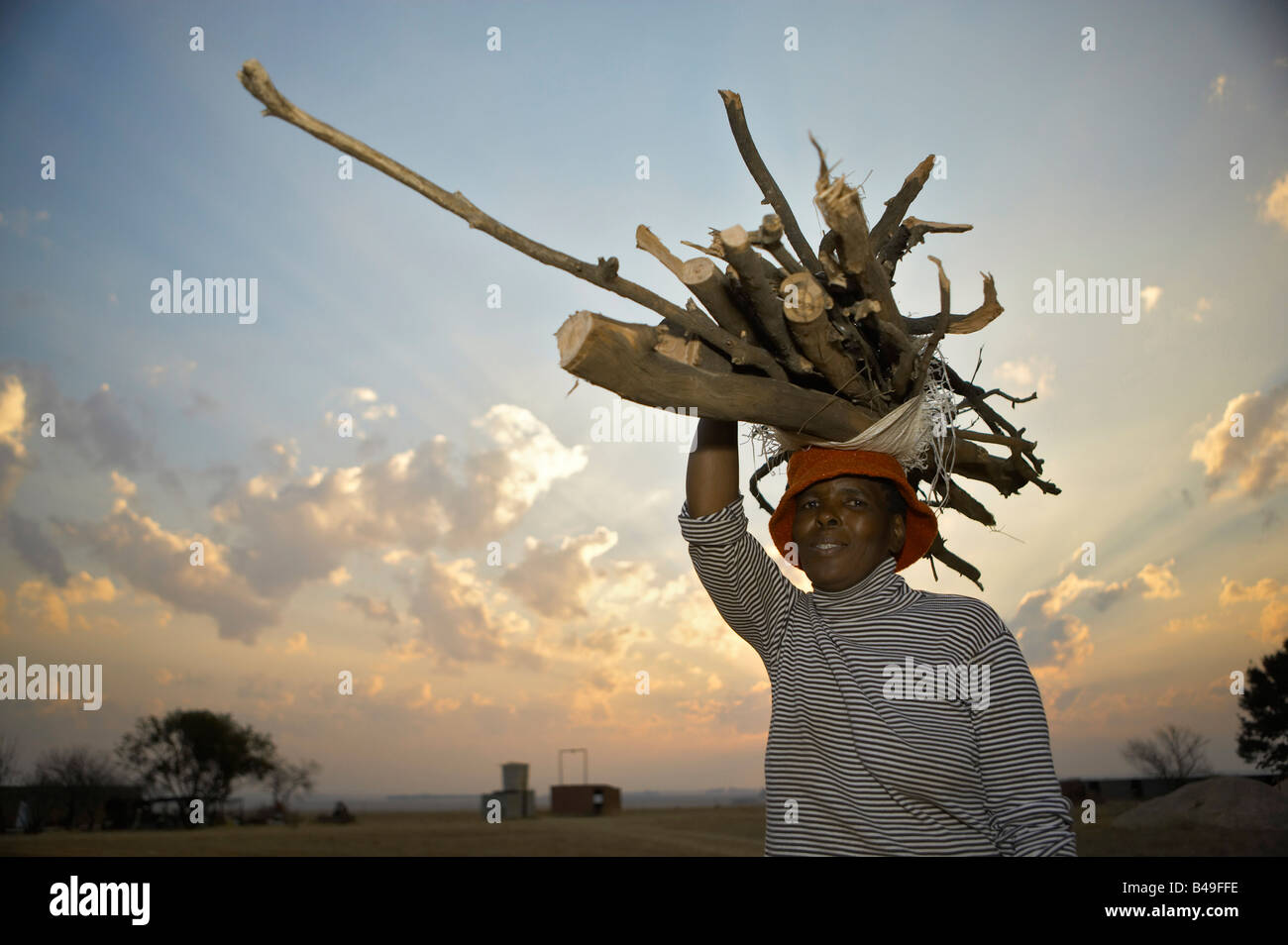 African women collecting firewood hi-res stock photography and images ...