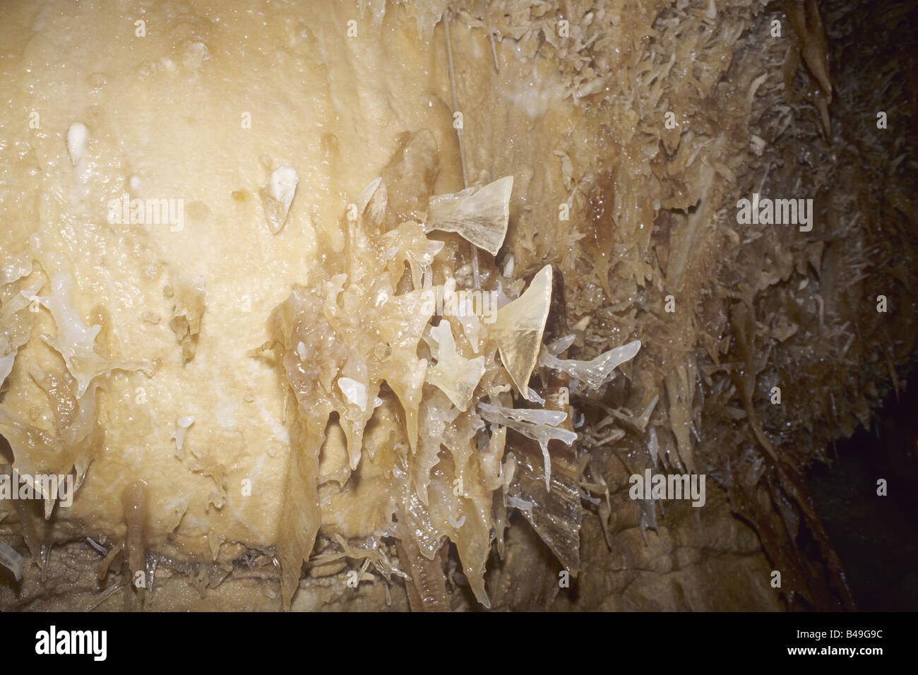 Caverns of Sonora, Fishtail Helictites Stock Photo - Alamy