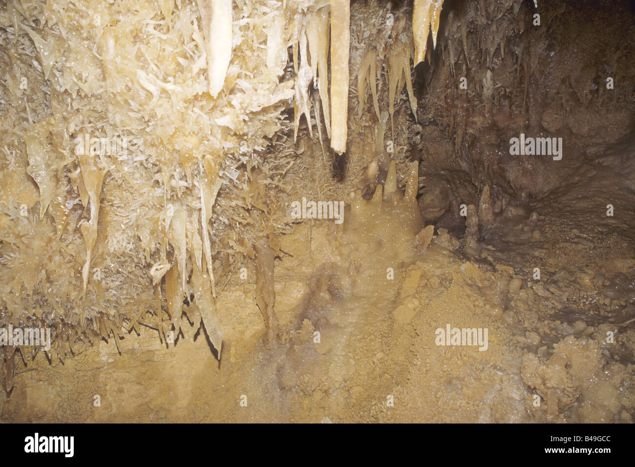 Helictite hi-res stock photography and images - Alamy