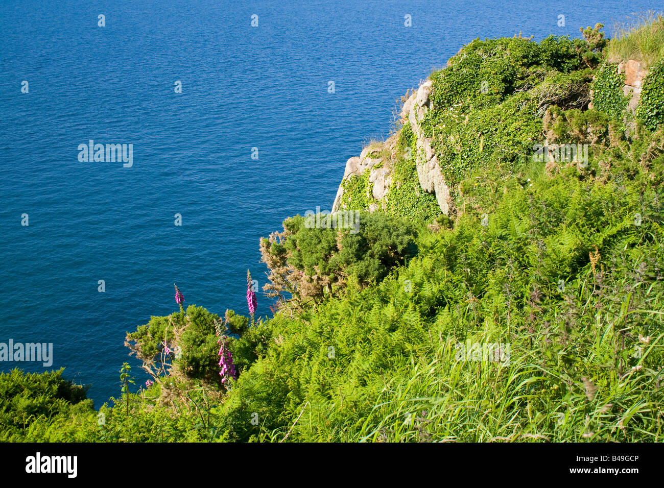 Cliff vegetation hi-res stock photography and images - Alamy