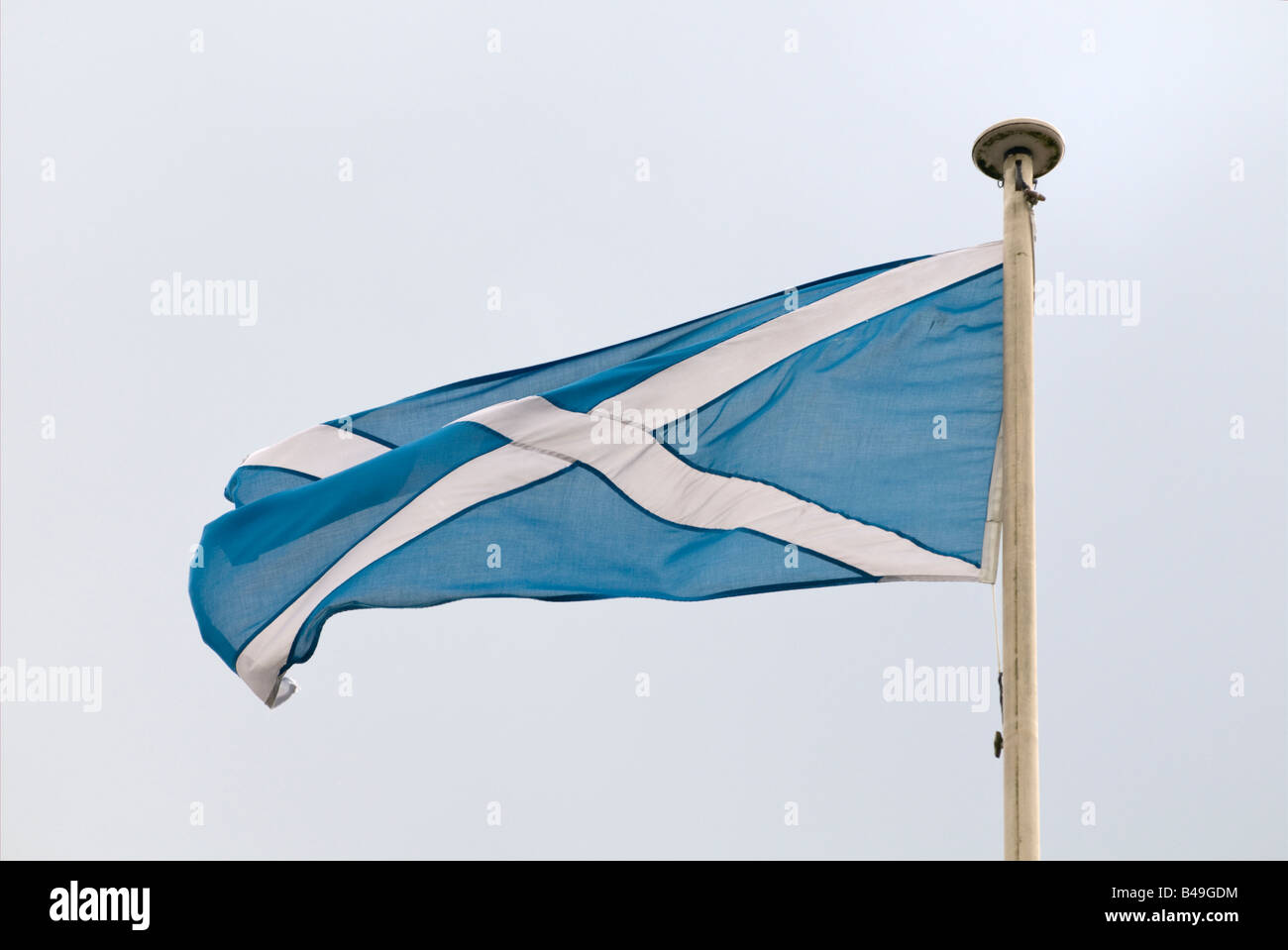 Flag of scotland hi-res stock photography and images - Alamy