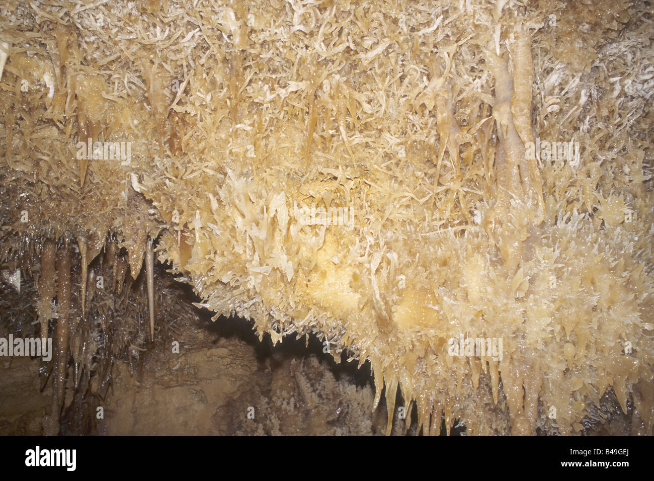 Helictites hi-res stock photography and images - Alamy